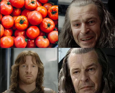 Best Funny faramir Memes - 9GAG