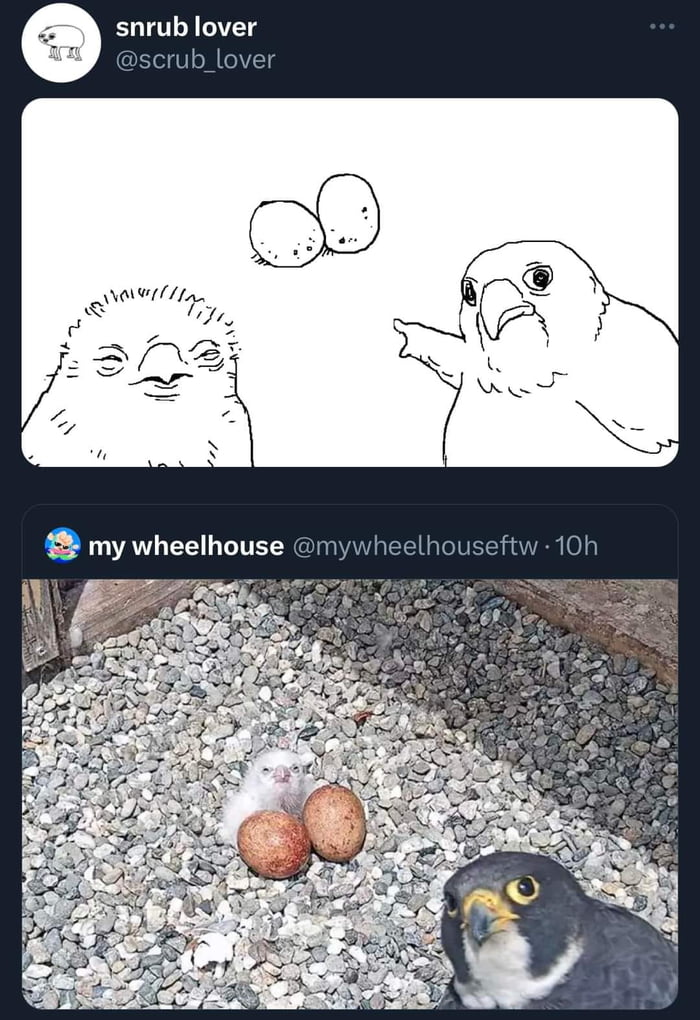 Meme material - 9GAG