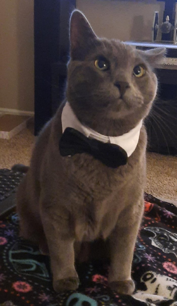 What a little sir - 9GAG