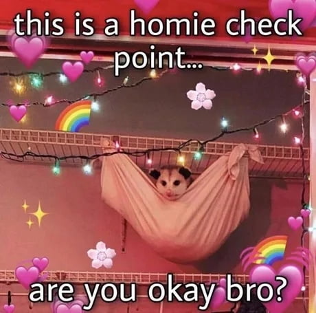 Just checking on you guys - 9GAG