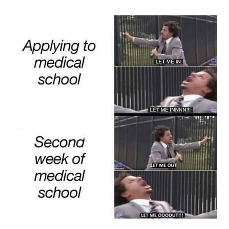 Medical School Memes