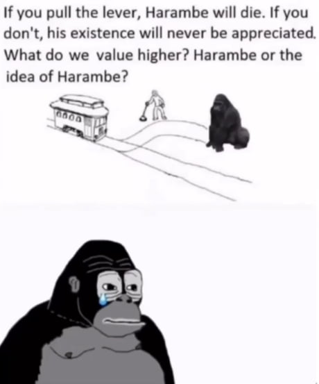 Best Funny paradox Memes - 9GAG