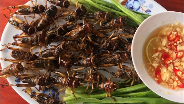 What is special dishes in Vietnam? Me first: Insects and Bugs - 9GAG