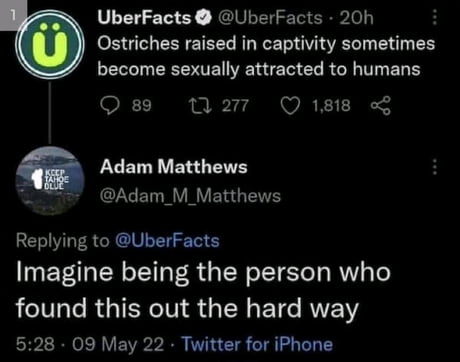 Best Funny segs Memes - 9GAG