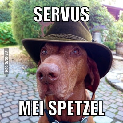 Memes Auf Bayrisch