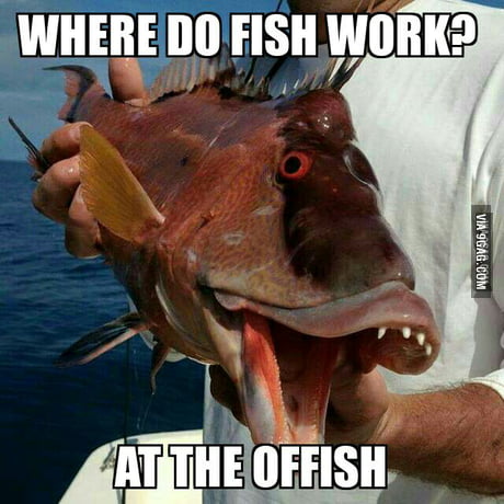 Fish Meme Fishing Memes: 40 Memes To Reel In The Laughs This Summer