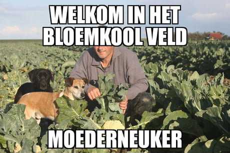 Boer Memes