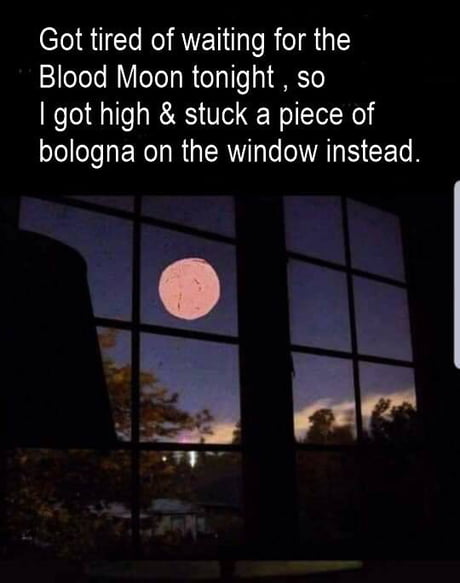 Moon Moon 9gag