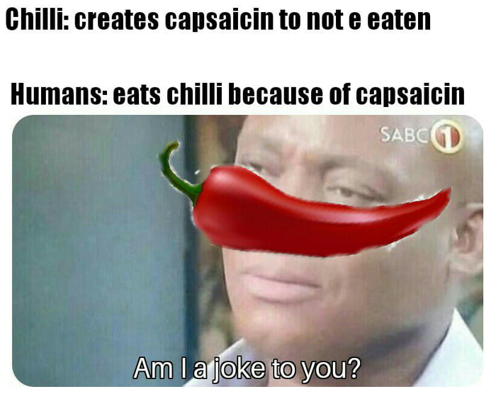 What the fock humans - 9GAG