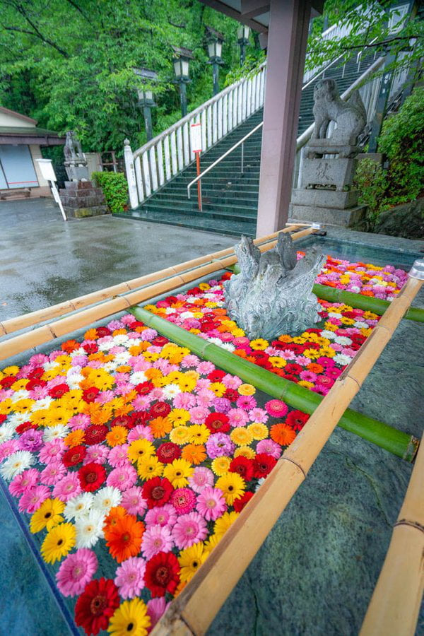 Shrines In Japan Are Arranging Floating Flower In Their Water Basins - 9GAG