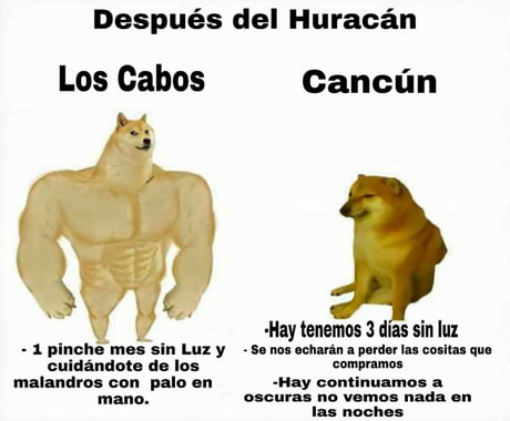 Cabo San Lucas Memes