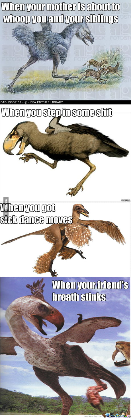 Prehistoric Googling Memes Блогът на Valentint :: Encyclopedia