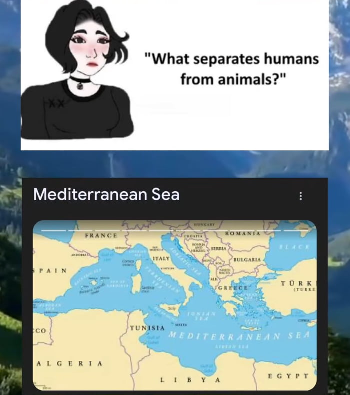And then comes the gypsies - 9GAG