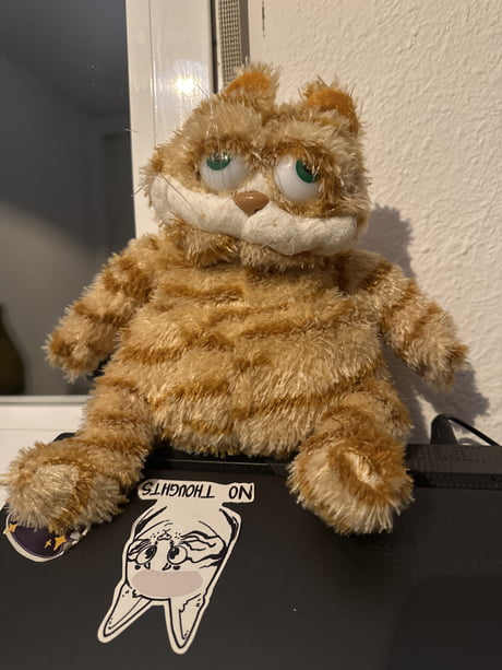 Best Funny garfield Memes - 9GAG