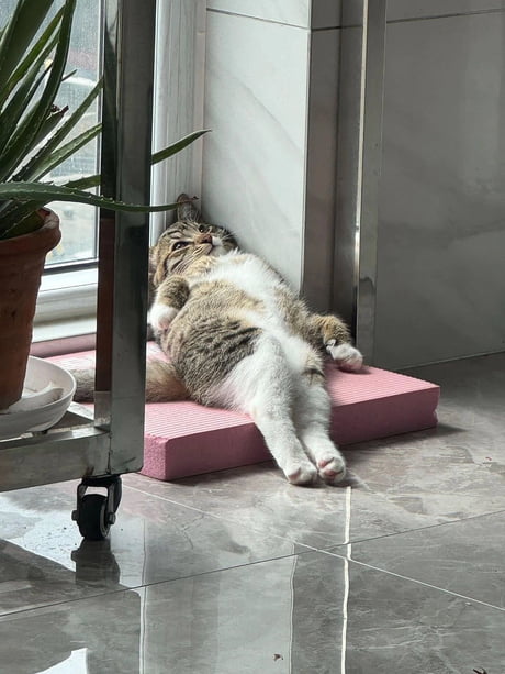 Best Funny sunbathing Memes - 9GAG
