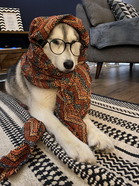 Best Funny babushka Memes - 9GAG