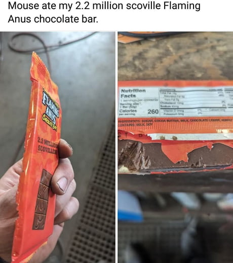 Best Funny mouse Memes - 9GAG