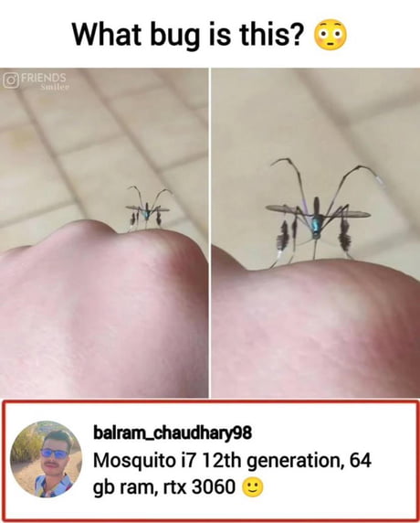 Best Funny mosquito Memes - 9GAG