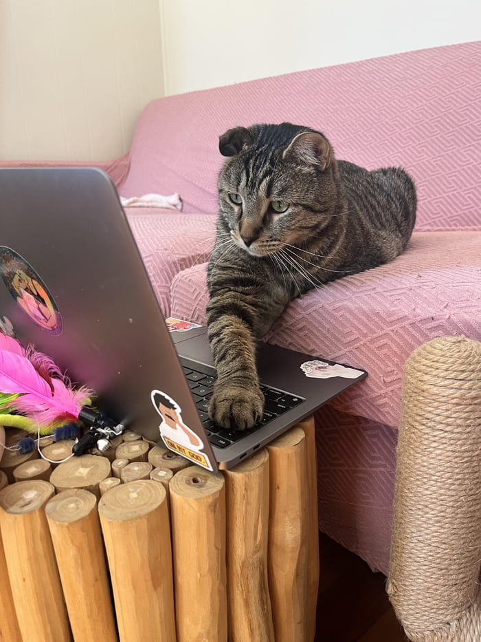 Filling these orders at the biscuit factory - 9GAG