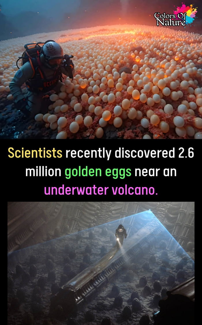 I've watched Alien movies enough to know what this leads to. - 9GAG