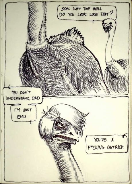 Funny Emu Memes