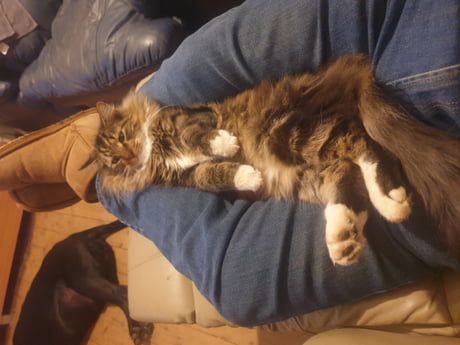 Best Funny kevin Memes - 9GAG