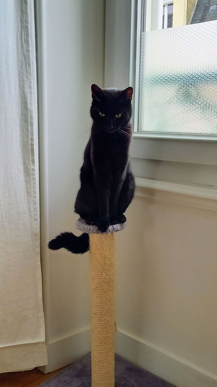 My little black void demon - 9GAG