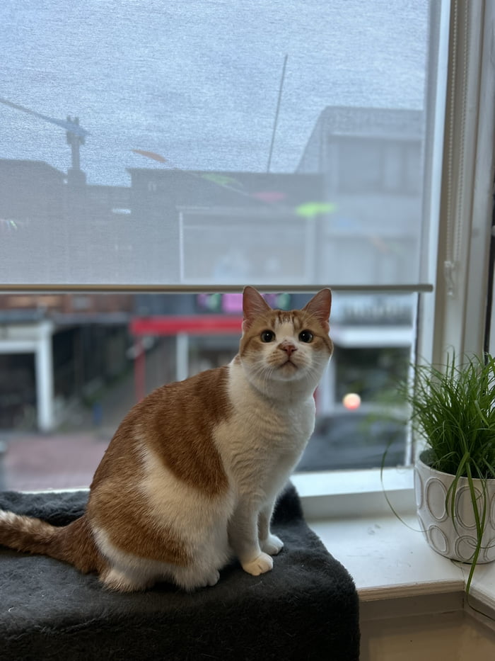 Our car, bit chubby calles ruby! - 9GAG