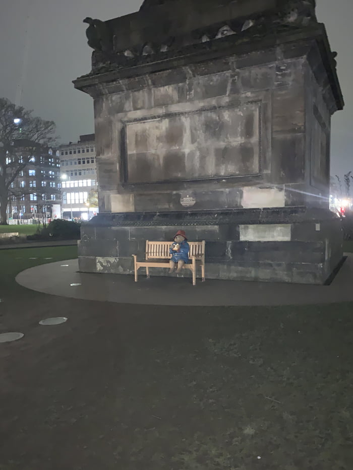Paddington on a bench - 9GAG
