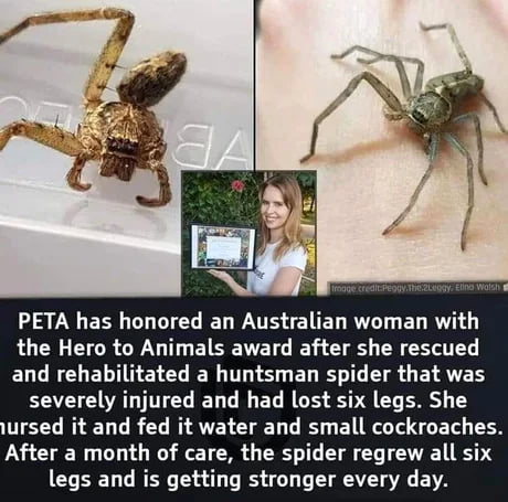 Best Funny peta Memes - 9GAG