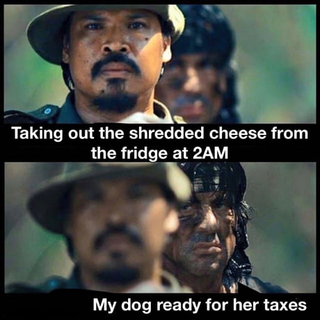 Best Funny taxes Memes - 9GAG