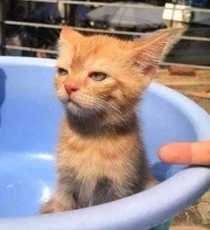 Me when no MEMES POSTED - 9GAG