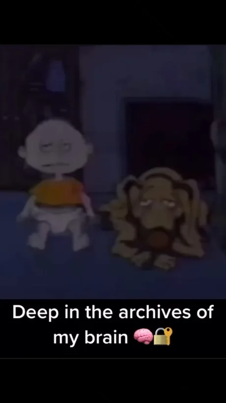 Rugrats Alle Vokst Opp Meme