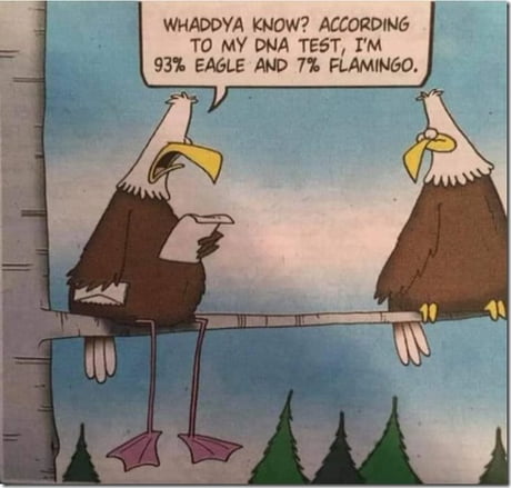 Best Funny dna Memes - 9GAG