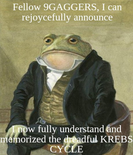 Best Funny biochemistry Memes - 9GAG