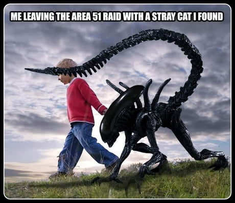 Best Funny xenomorph Memes - 9GAG