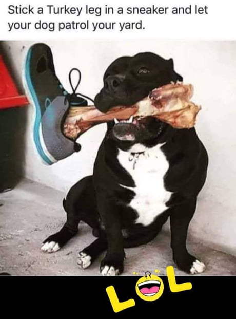 Best Funny bone Memes - 9GAG