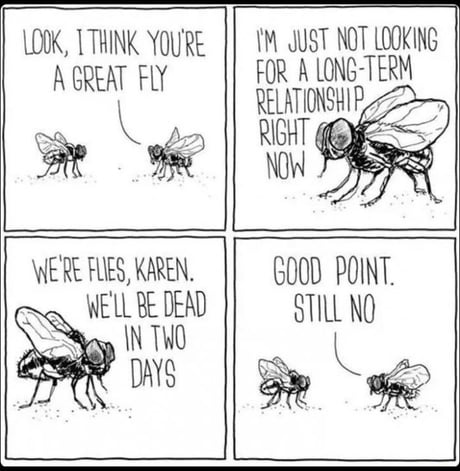 Best Funny fly Memes - 9GAG