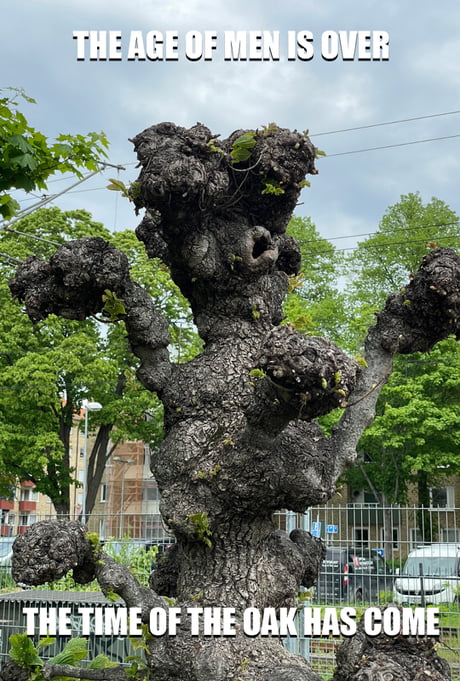 Best Funny toe Memes - 9GAG