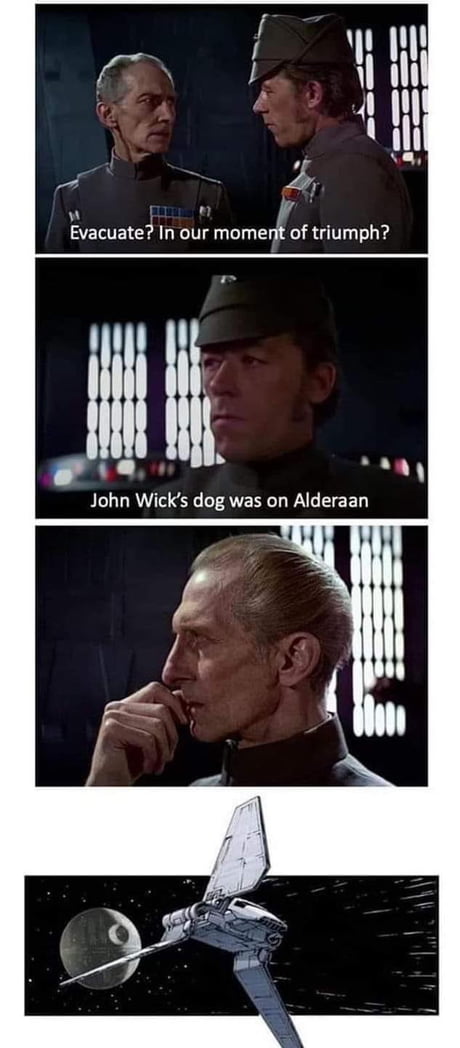 Best Funny doggy style Memes - 9GAG