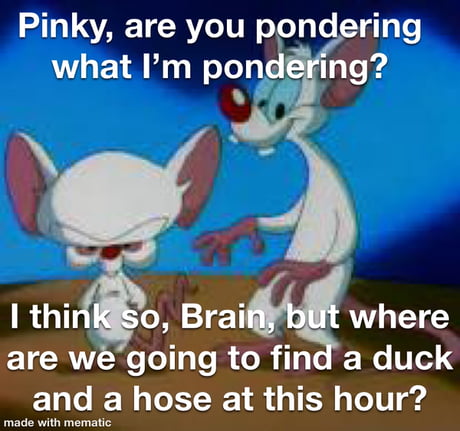 Best Funny pinky and the brain Memes - 9GAG
