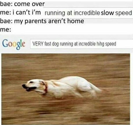 Incredible Hihg Speed Memes Stream Episode Don Pollo X Big Tonka By