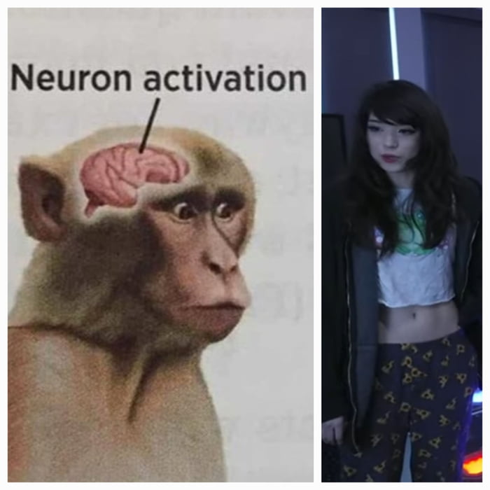 Emiru causing neuron activation - 9GAG