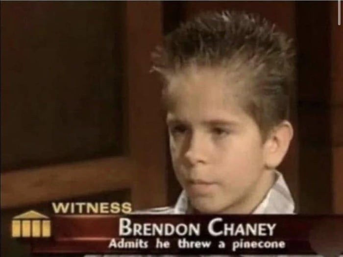 Brendon Chaney, the pinecone launcher - 9GAG