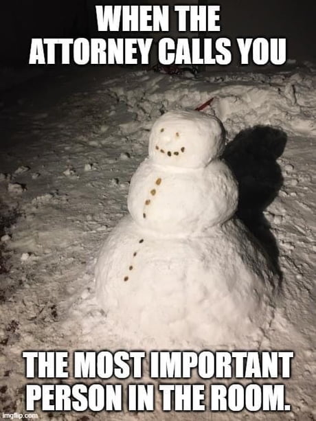 Court Reporter Memes