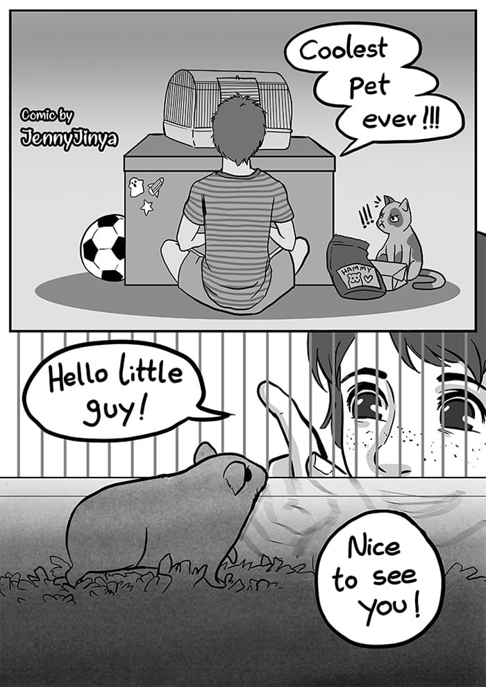 Artist Jenny Jinya Raises Awareness Through Story About Neglected Hamster - 9GAG