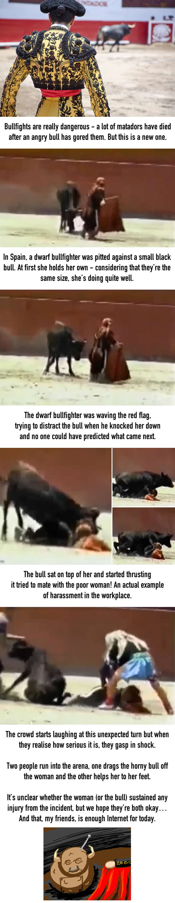 Shocking Moment Bull Mounts Female Dwarf Bullfighter - 9GAG