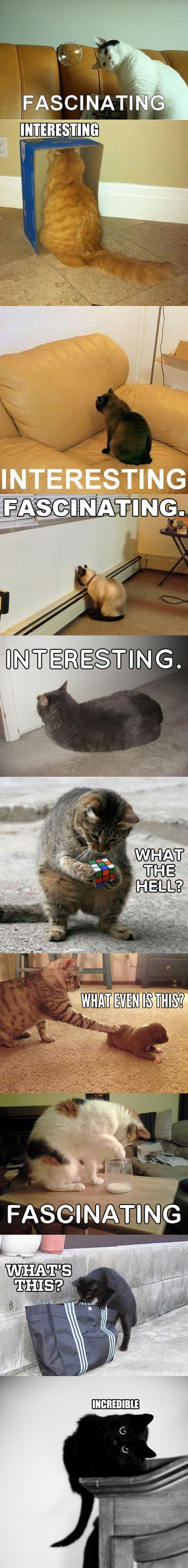 Who even are you? - 9GAG