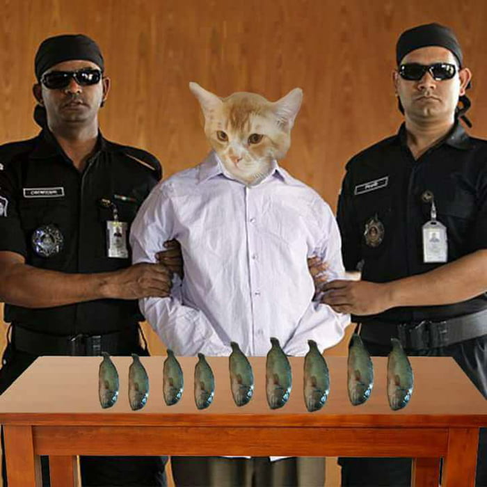 Fish Thief caught by police! - 9GAG