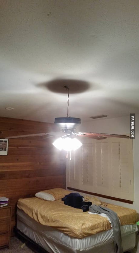 Ceiling Fan Falling Out | Shelly Lighting